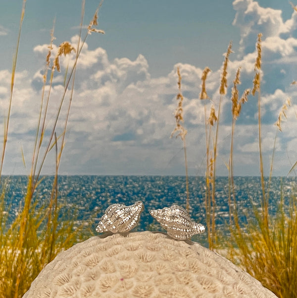 Shell Studs in pure fine silver - Coastalstyle Australia
